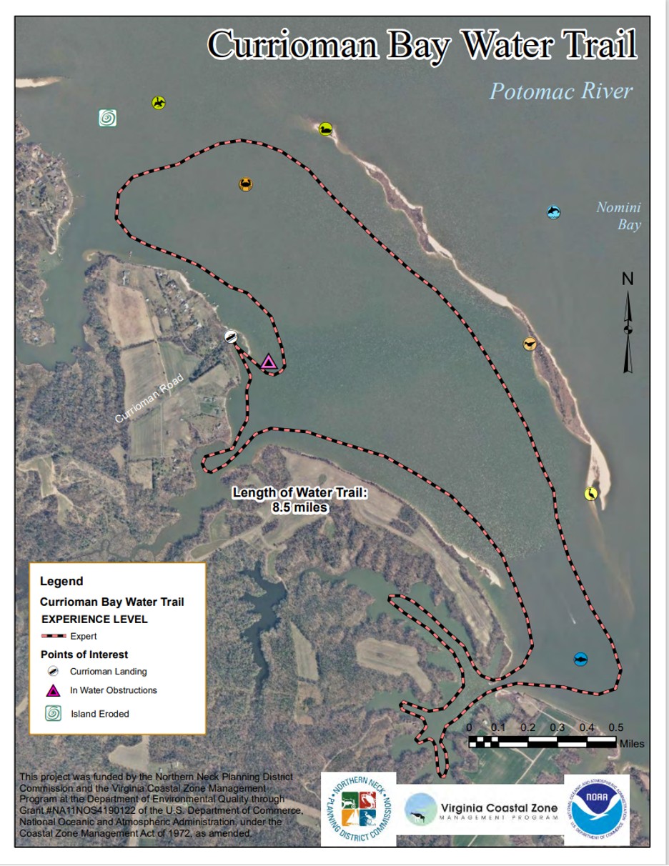 The Story Behind Shark Tooth Island: Hollis Marsh, Currioman Bay, and ...