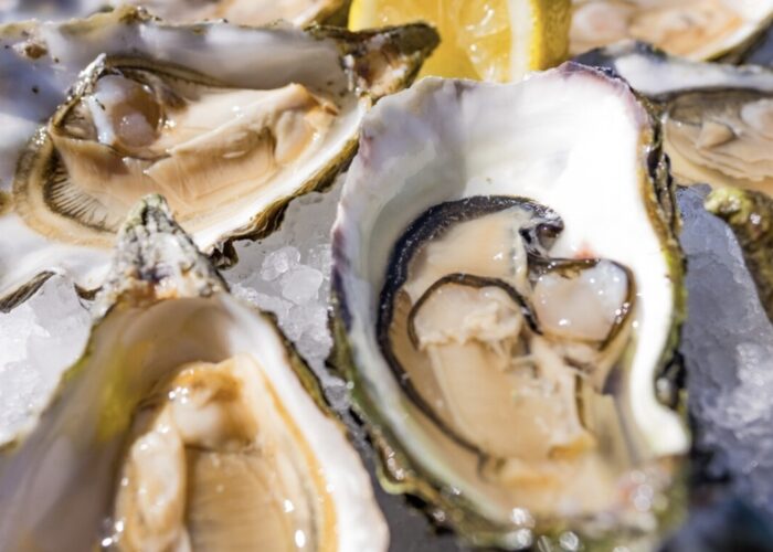 Bay Living Archives | Chesapeake Bay Magazine