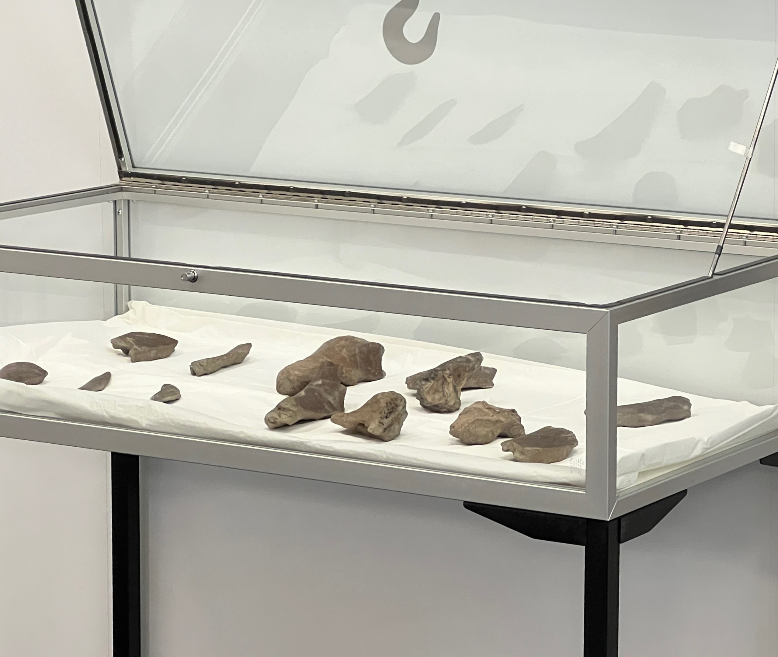 Mastodon Fossils Unearthed During Hampton Roads Bridge-Tunnel Project ...