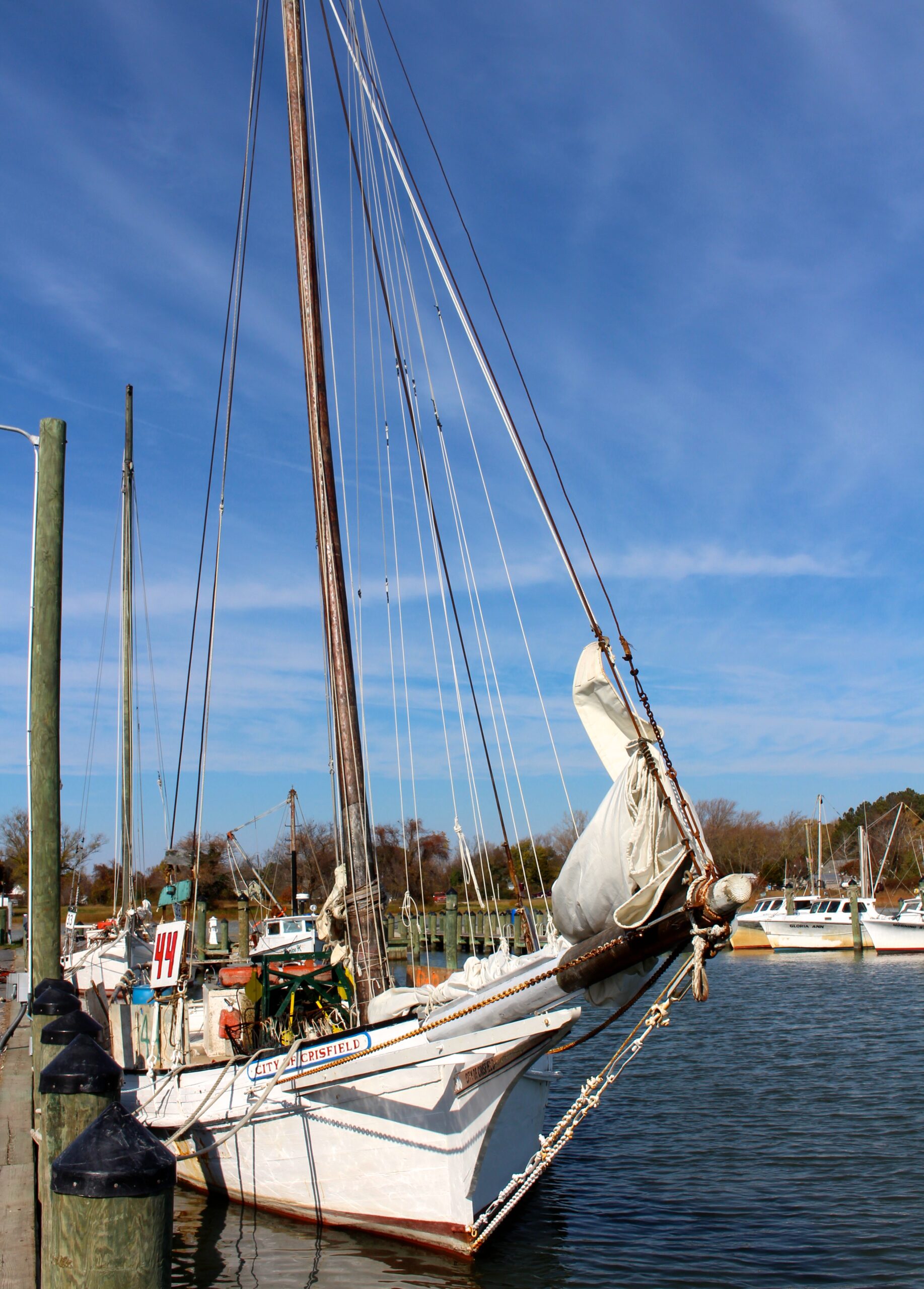 Island Hopping the Eastern Shore's Barrier Isles | Chesapeake Bay Magazine