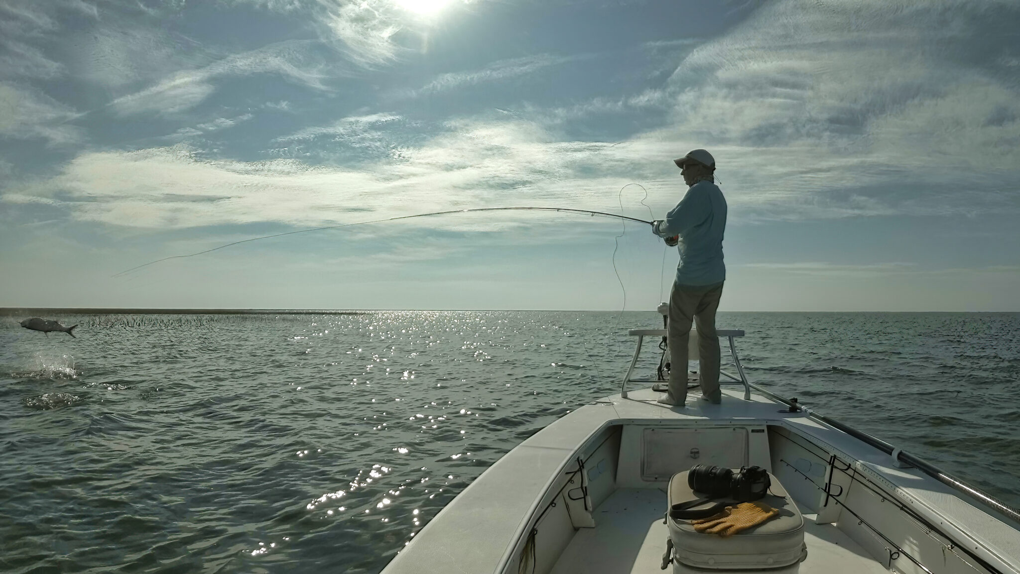 Tarpon in MD? Game Fish Caught Surprisingly Far North | Chesapeake Bay ...