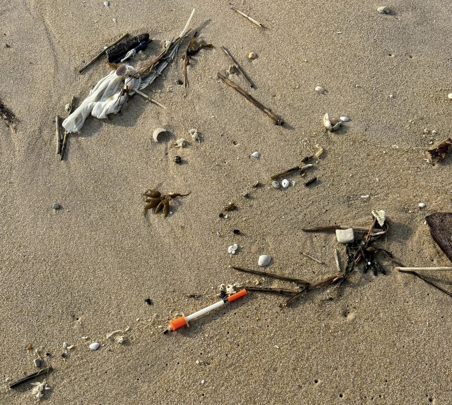 Medical Waste Washes Ashore, Forcing MD, VA, DE Beaches to Close ...