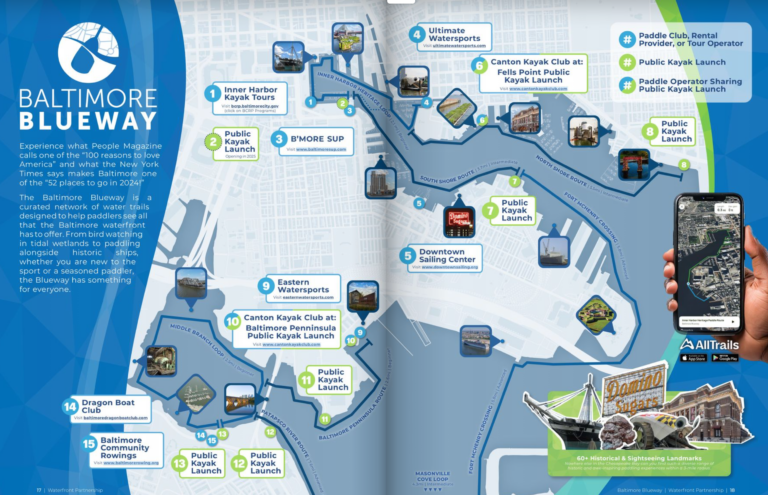 Inner Harbor Ecosystem Gets "C" Grade, City Expands Swimming Events ...