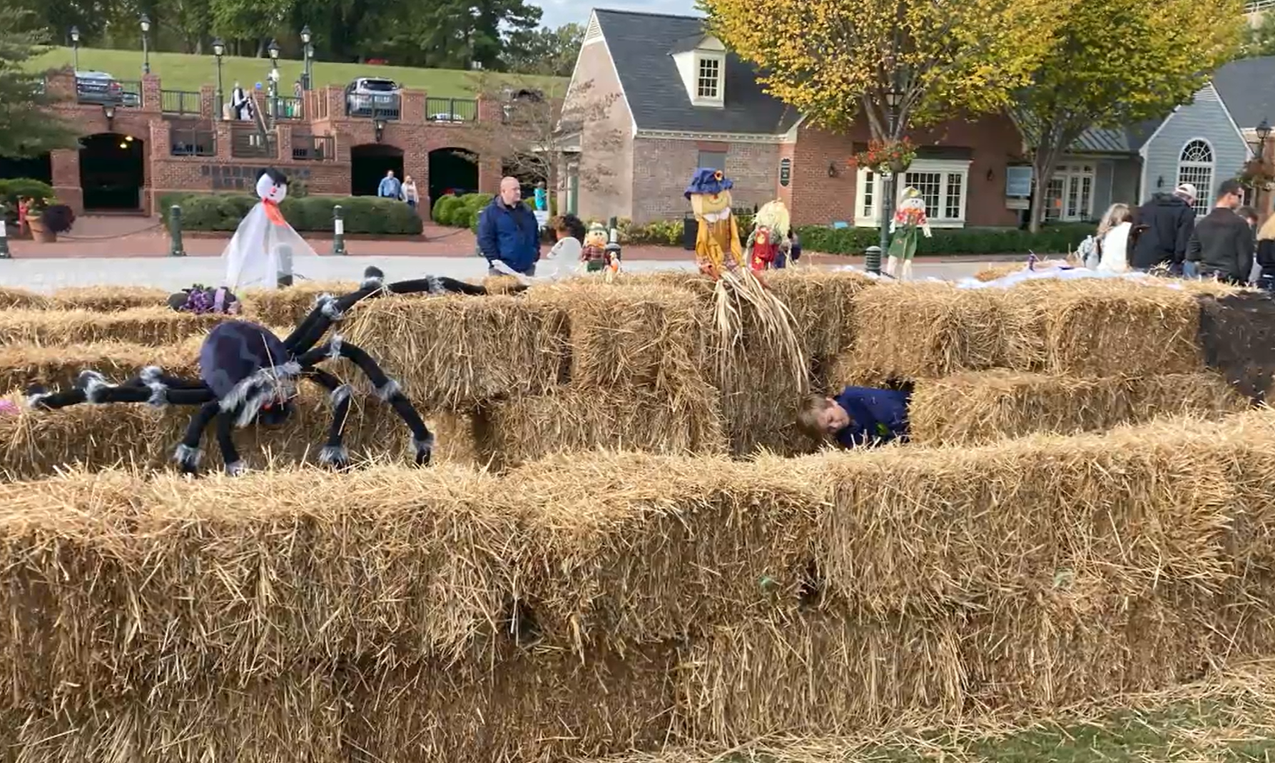 Find Fun-Packed Fall Festivals in Yorktown This Season | Chesapeake Bay ...