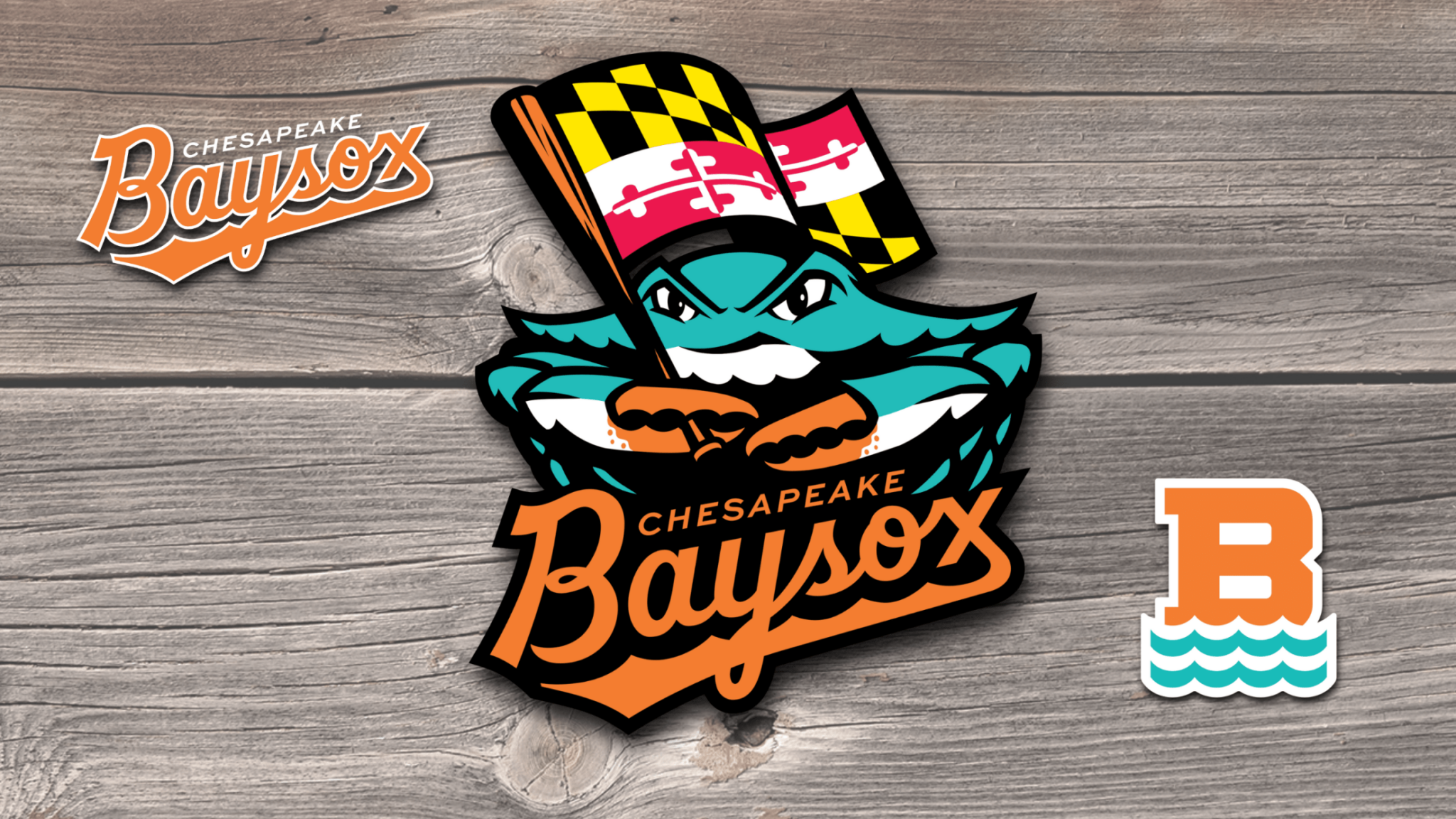 Hello, Chesapeake Baysox! MD Minor League Team Adopts New Name, Crab ...
