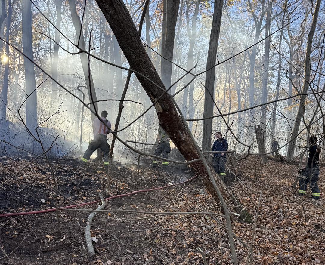 Bay Region Wildfires Continue on Heels of Record Dry Spell | Chesapeake ...
