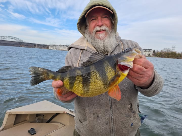 Fishing Victories: MD State Records for Yellow Perch, Longnose Gar, Set ...