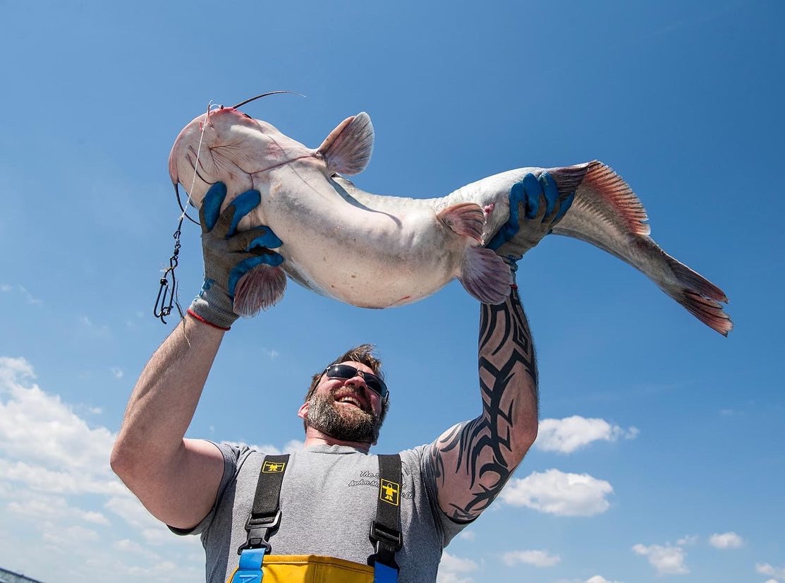 Blue Catfish Cookoff: Top Chefs Go Big at First-Time Competition ...