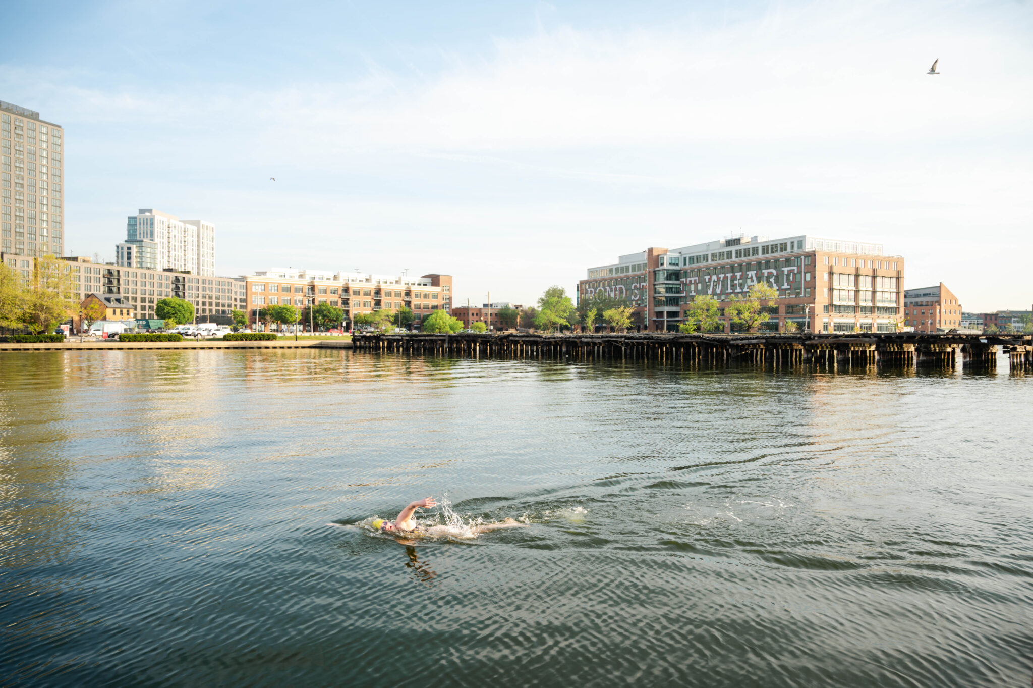 Six Hours in the Inner Harbor: Baltimore Distance Swimmer Does it Again ...