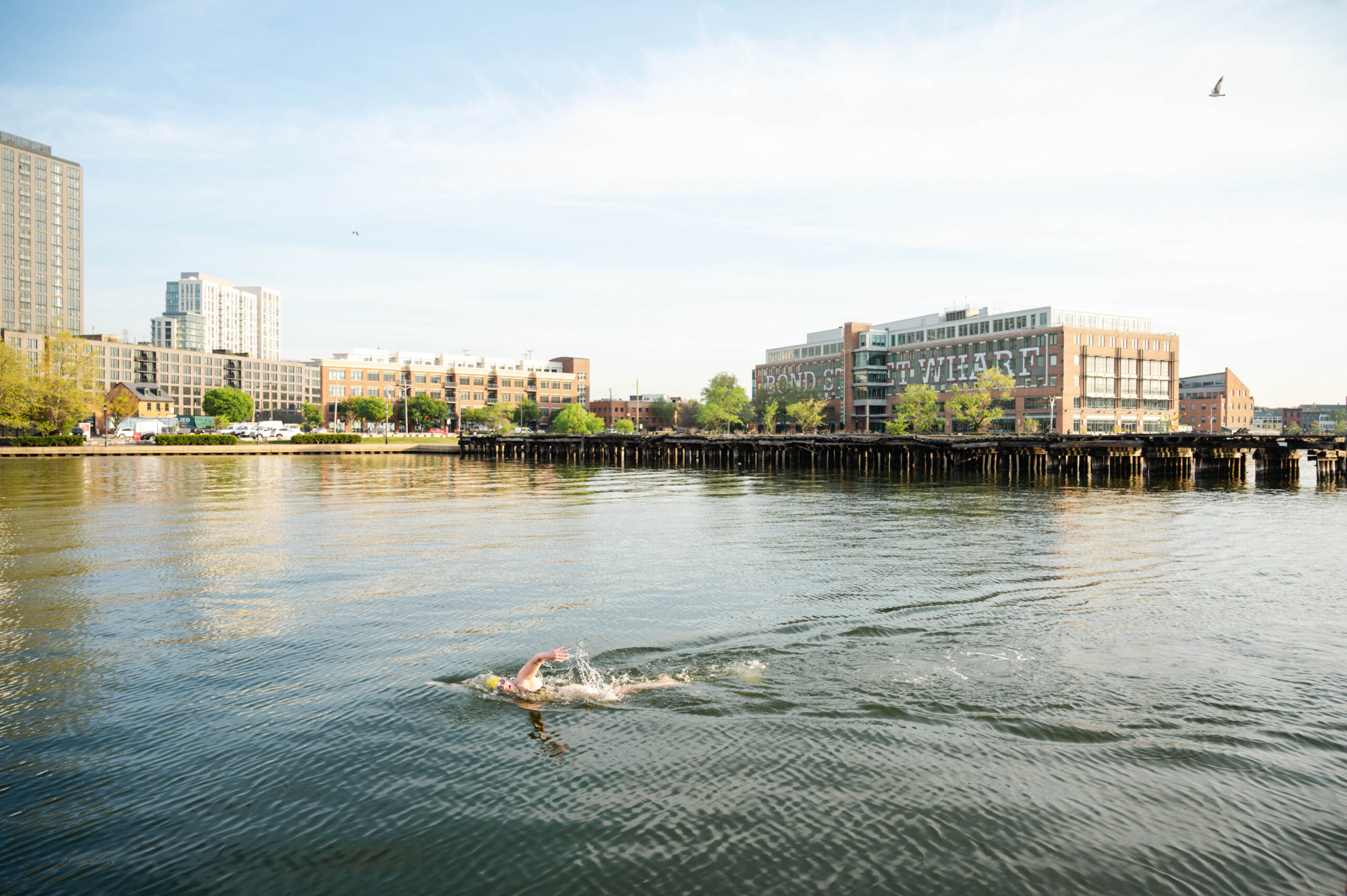 Six Hours in the Inner Harbor: Baltimore Distance Swimmer Does it Again ...