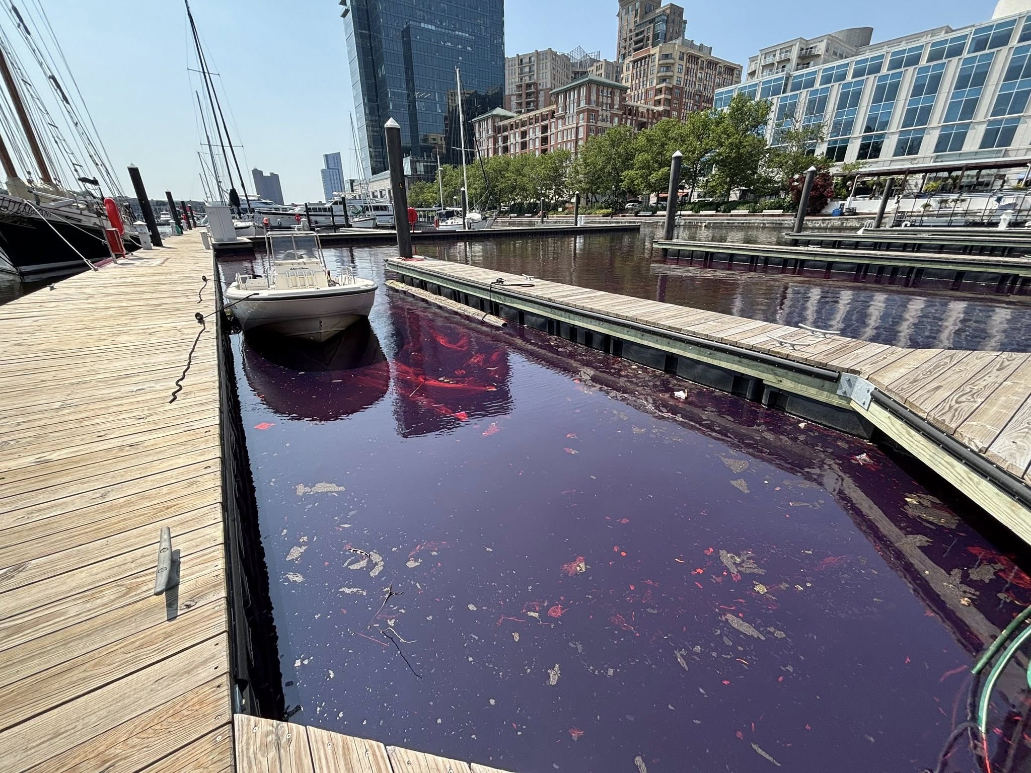 Harbor East Waterfront Reopens after Baltimore Diesel Spill Pollutes ...
