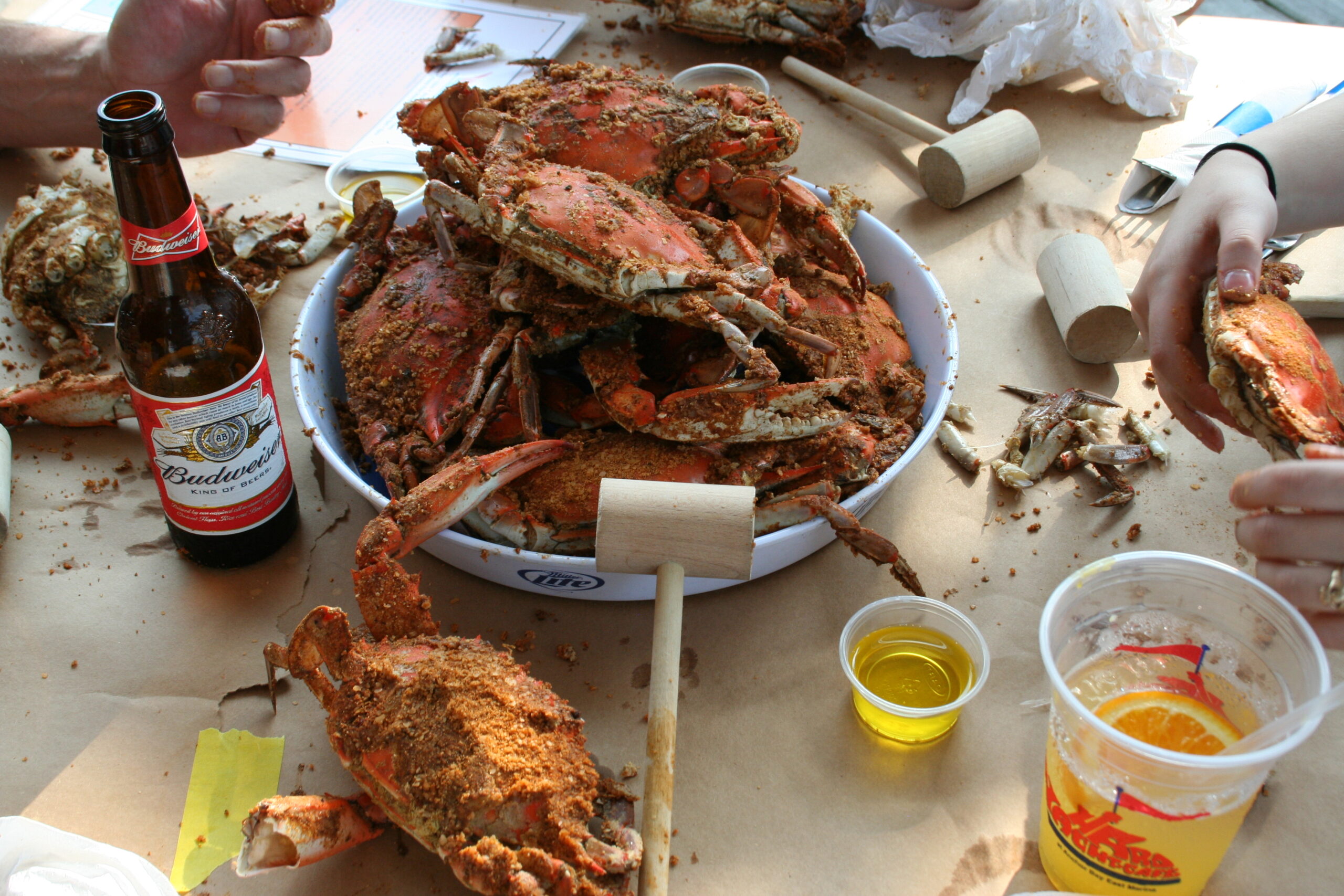 Where to Go? Ultimate "Crab Decks & Tiki Bars" Guide Returns ...