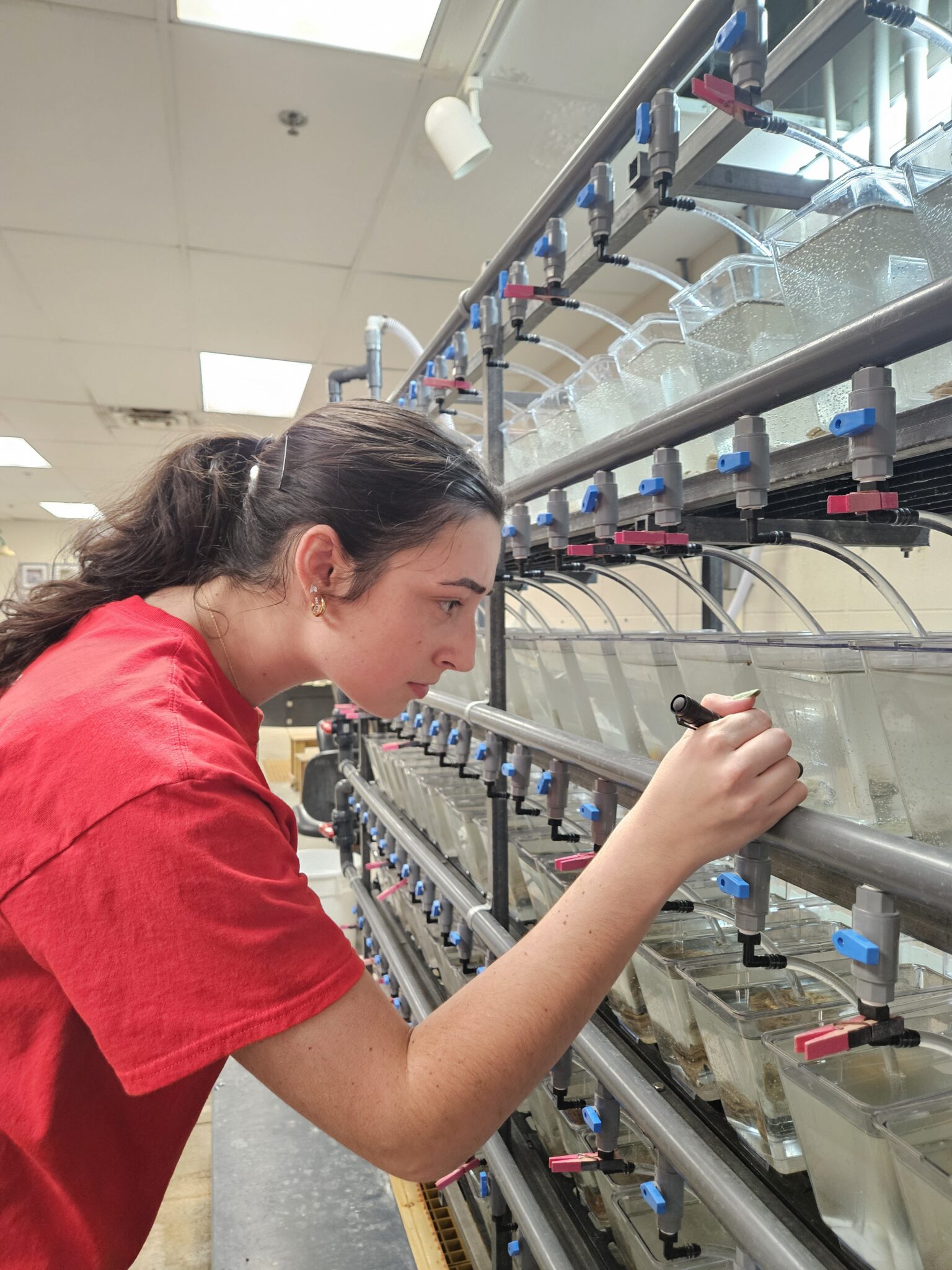 Oyster Planting Crusaders Work Hand-in-Hand with Hatchery to Finish ...