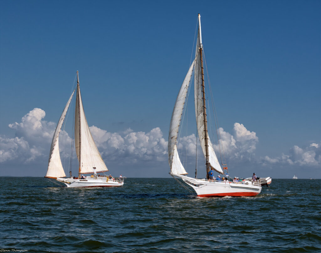 Skipjack Races Return to Sandy Point after 35-Year Hiatus | Chesapeake ...