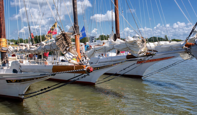 Skipjack Races Return to Sandy Point after 35-Year Hiatus | Chesapeake ...