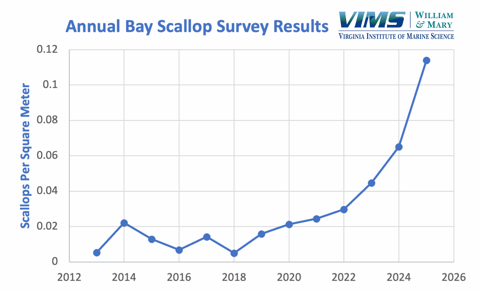 Shellfish Success: Bay Scallops Surge on Virginia's Eastern Shore ...