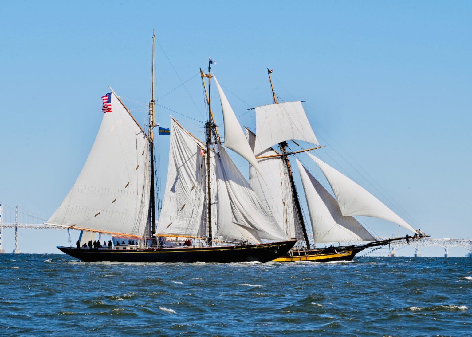 Schooner Race Fleet Flies Down the Bay in Competitive, Fast GCBSR ...