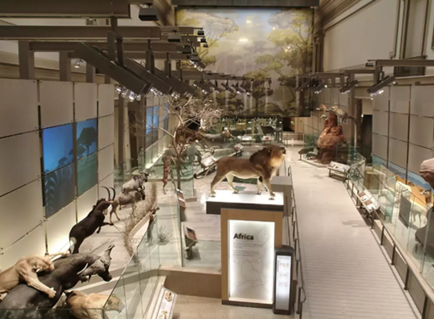 Meet the Waterfowl Sculptor Who Honed His Craft as a Longtime ...